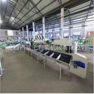 Quality CE Approved Fruit And Vegetable Washer Machine Cleaning Sorting Machine Line for sale