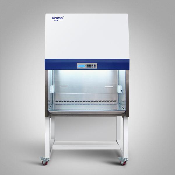 Quality Hospital Stainless Steel Biological Safety Cabinet Flammable Liquid Physical for sale