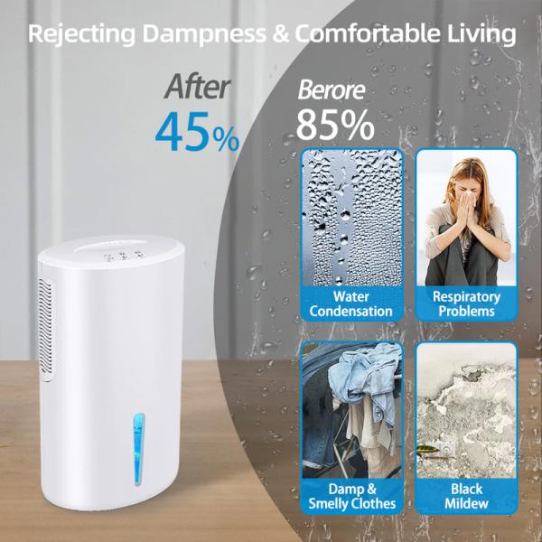 Quality Household Dehumidification Air Dehumidifier Small Portable Dehumidifier for sale