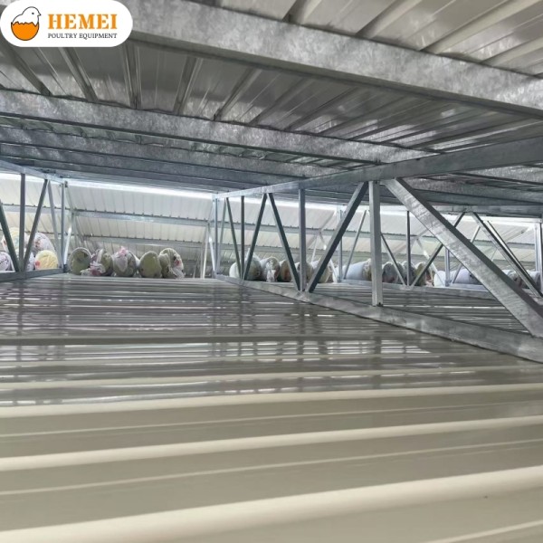 Quality CCS4 Floor Type Broiler Equipment for sale