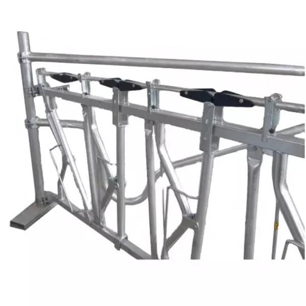 Quality Galvanized Custom Cattle Dairy Headlocks Farming Equipment cattle feeder for sale