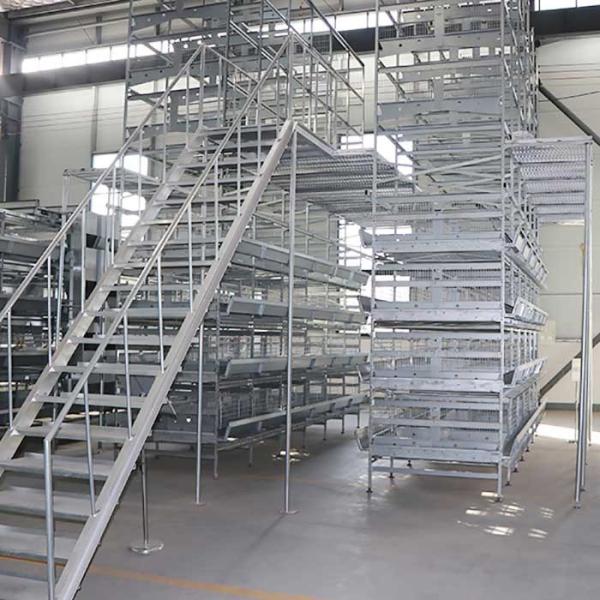 Quality Durable Automatic Chicken Feeding Equipment, Chicken Battery Hen Cage With for sale