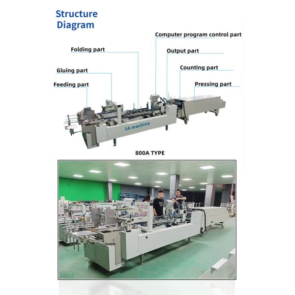 Quality CQT 800 Cardboard/Corrugated Straight Line Box Automatic Carton Box Folder Gluer for sale