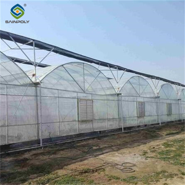 Quality Automated Commercial  Greenhouse Agriculture Farming Greenhouse Weather Proof for sale