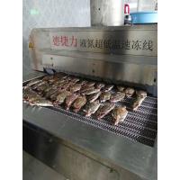 Quality 30 Kw Fast Freeze Chest Mesh Belt Tunnel Freezer 1500KG/H 2500KG/H for sale