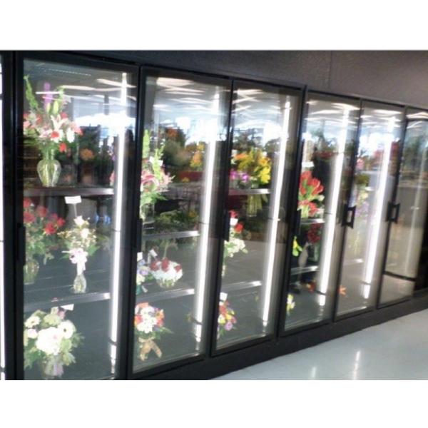 Quality Floral Display Walk In Coolers walk in glass door cooler colored steel for sale