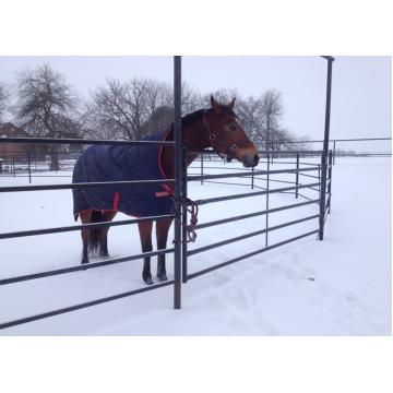Quality Hot Dip Galvanized Welded Tube Cattle Livestock Fence Panels for sale