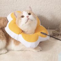 Quality Post-Surgery Recovery E-Collar for Cats & Dogs - Adjustable Soft Cone with for sale