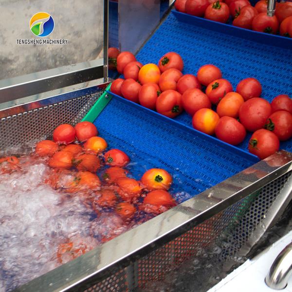 Quality Multifunction Fruit And Vegetable Processing Line Parallel Brush Machine for sale