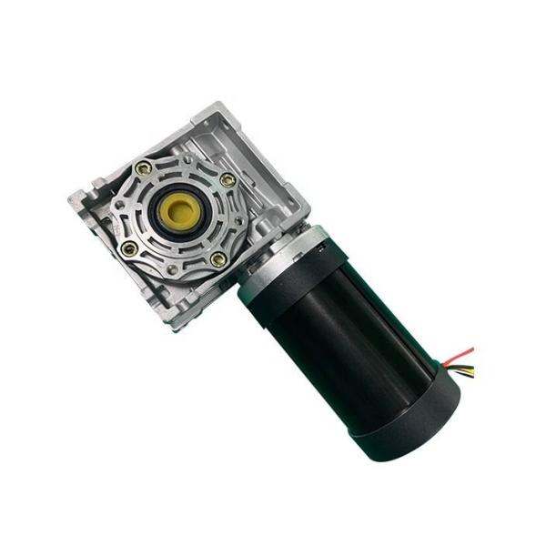 Quality NMRV050.86BLS Series Brushless Dc Worm Gear Motor for sale