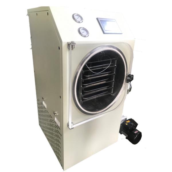 Quality 6-8kg Capacity Automatic Freeze Dryer Great Power For Food Fruits Vegetables for sale