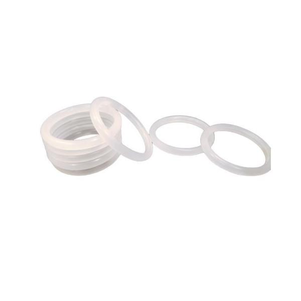 Quality 20Mpa Tensile Strength FFKM O Ring Aging Resistance Extreme Temperatures& for sale
