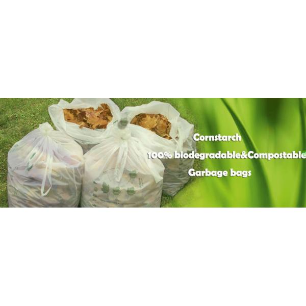 China YANTAI BAGEASE PACKAGING PRODUCTS CO.,LTD. company profile 2