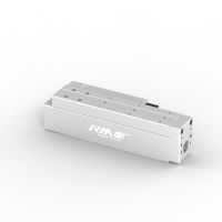 Quality RobustMotion Single Axis Electric Linear Cylinder, Long-stroke, High-speed, and High-precision RM-RPLA for sale