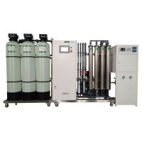 Quality 500H/L Double Pass RO System With EDI Water Plant for sale