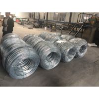 Quality 20ga 21ga 22ga Electro Galvanized Steel Wire Cold Drawn Ss Wire for sale