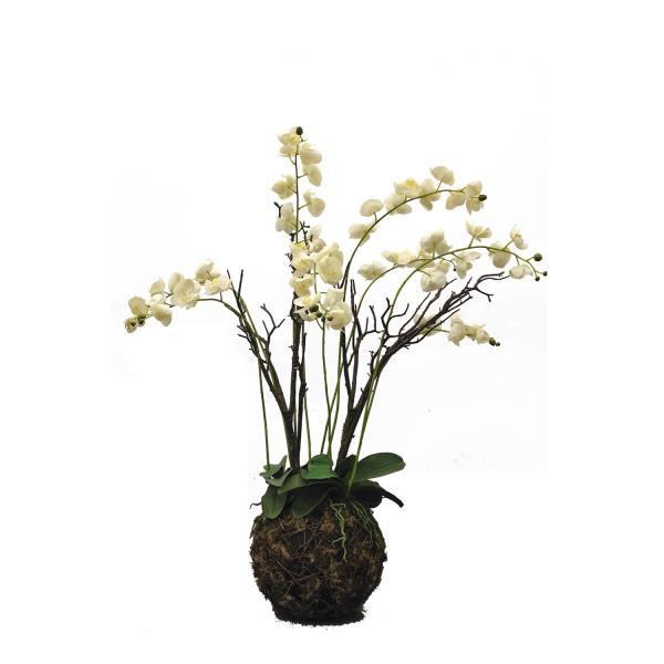 Quality Custom Color 117cm Artificial Orchids For Table Simulated From European Orchid for sale