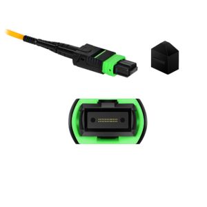 Quality 24 Cores Single Mode Fiber Patch Cord 55dB Return Loss Customized Length for sale