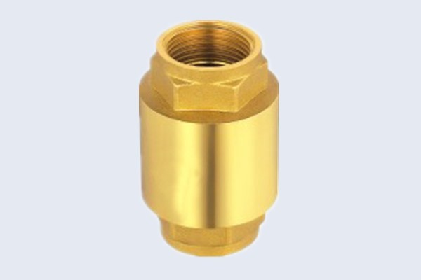 Quality Heavy Brass Valve 1.6Mpa Spring Non Return Valve for sale