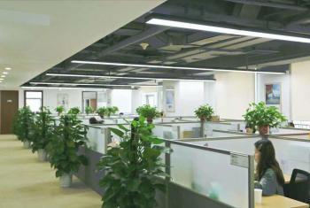 China Factory - Beijing Xingyuyang Trading Co., Ltd.
