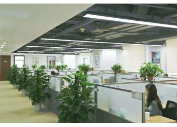 China Factory - Beijing Xingyuyang Trading Co., Ltd.