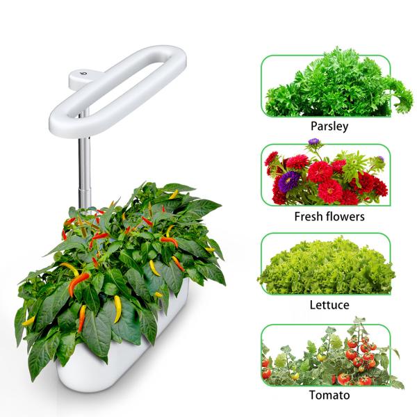Quality BAVA Seed Pod Hydroponic Growing Light 12W Irrigation Ventilation for sale