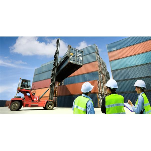 Quality Export Declaration Import Clearance for sale