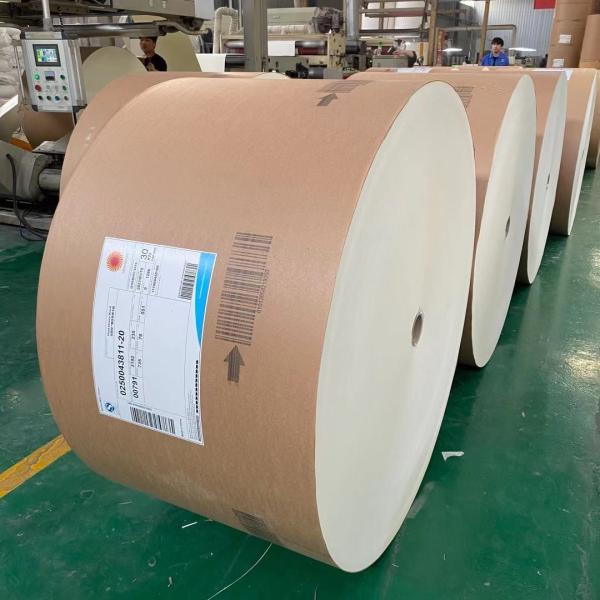 Quality Flexographic Plastic Coated Paper Roll 160 Gram Paper Cup Raw Material for sale
