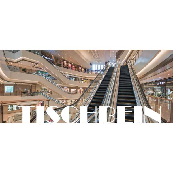 Quality Stainless Steel Commercial Escalator for sale
