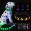 china Rechargeable Led Dog Leash Illuminating Walking Night Glowing USB Rivet