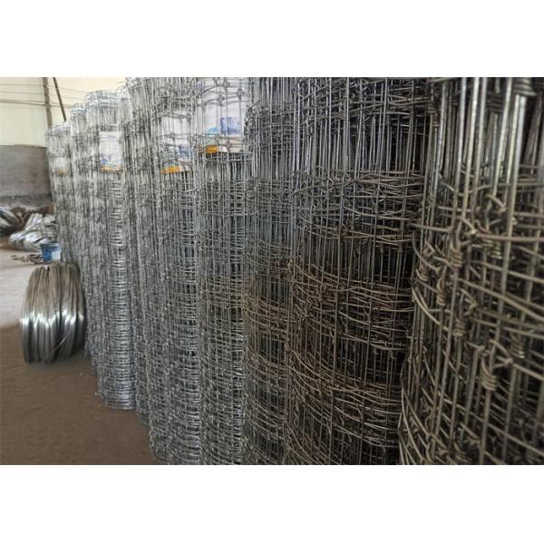 Quality Galvanized Low Carbon Steel Wire Field Fence Easy Fixation High Strength for sale