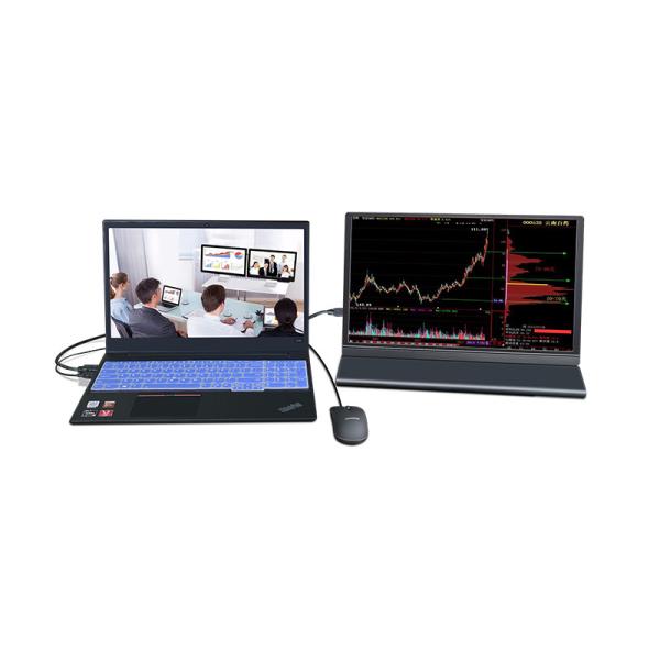 Quality Multiple Language Full Function IPS 15.6 Inch Portable Monitor For Smart Phone for sale