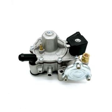 Quality Larger Internal Passages 110W LPG Pressure Regulator Reducer With Black Solenoid for sale