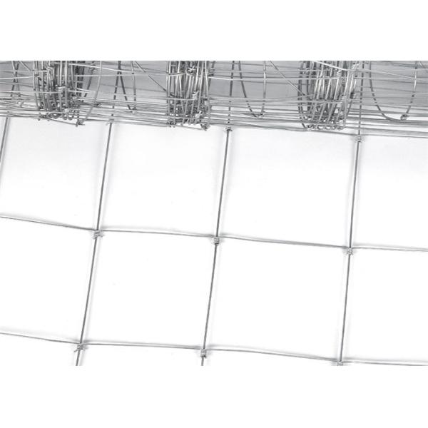 Quality 3.0mm 2.5mm Farm Mesh Fence Wire Galvanized 6ft Welded Wire Horse Fence for sale