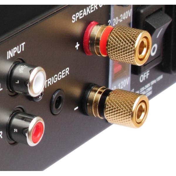Quality Mini Mono Subwoofer Amplifier Class D Solid Integrated Power Amplifier 100W For for sale