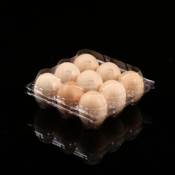 Quality PET Plastic Sheet Roll Reusable Quail Egg Tray Plastic Transparent for sale