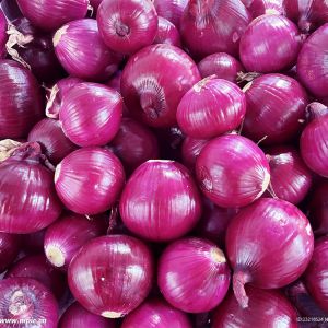Quality Wholesale Organic 5-8 cm Fresh Red Onion High Demand Agricultural Product with for sale