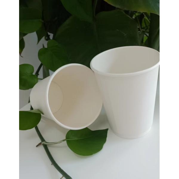 Quality Disposable 12oz 300g 18PE 250 Double Wall Paper Cups 2.5oz-22oz Customized for sale