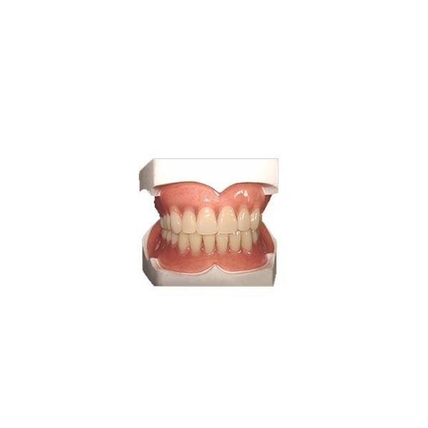 Quality Removable All Acrylic Partial Denture Natural Looking Easy To Maintain for sale