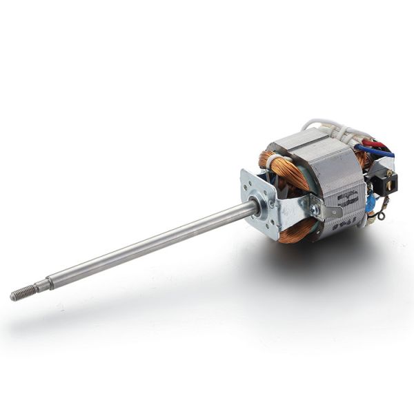 Quality High Torque 110v 220v 100w 200w 300w AC Electric Motor for Treadmill Machine 10000rpm for sale