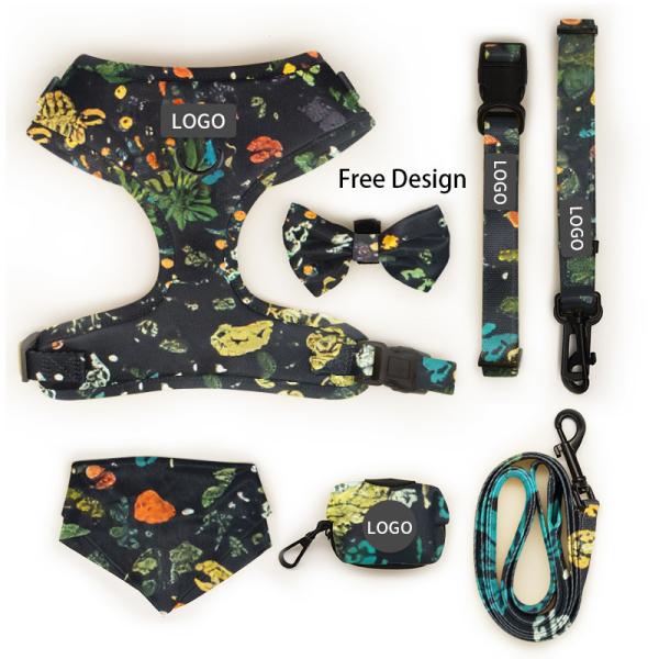 Quality Custom Logo Print Pattern Personalized Pet Harness Set with Bowknot Decoration for sale