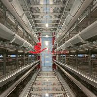 China 700mm Story Height Layer Chicken Cage System with Reasonable Wind Speed factory