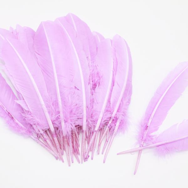 Quality Party Decoration Colored Turkey Feathers Event Supplies 10-12 inch for sale