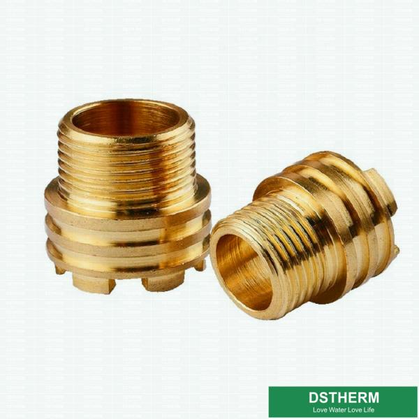Quality Male Brass Inserts Customized Designs For Ppr Fittings for sale