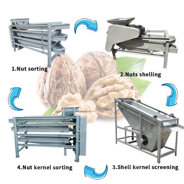 Quality Upgrade Your Nut Processing with Our Hazelnut Cracker and Pistachio Shelling Machine for sale
