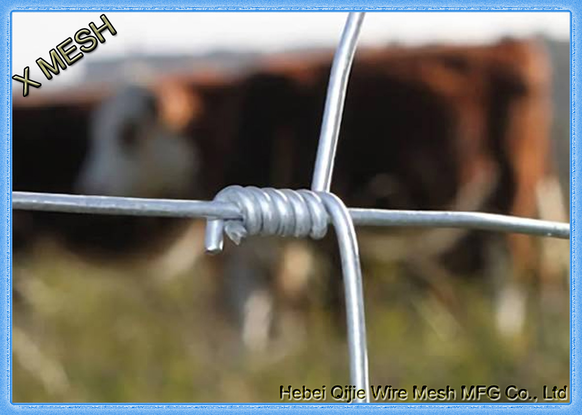 field fence chicken