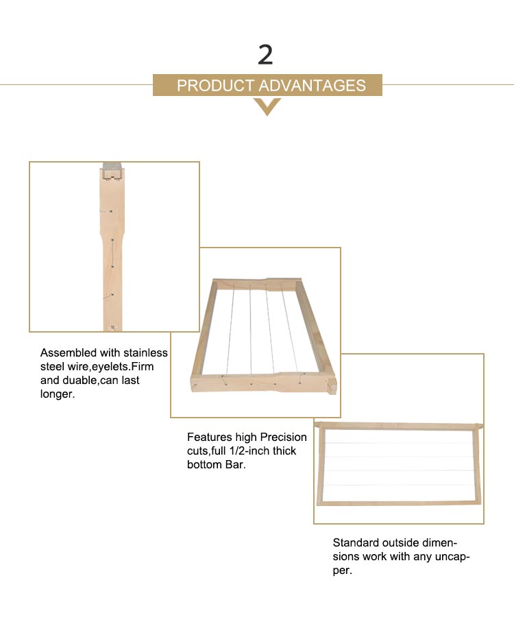 Dadant Beehive Frame2.jpg