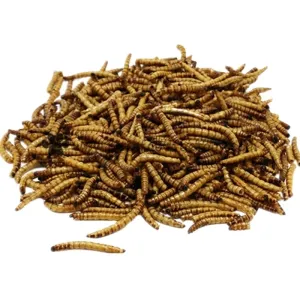 Quality Black Soldier Fly Protein Powder for sale