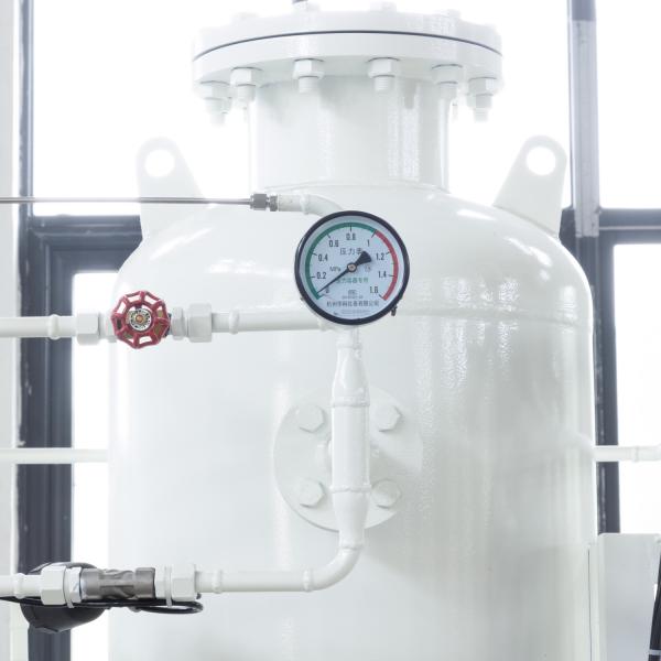 Quality Customized PSA Oxygen Generator for Fish Farming Oxygen Payment 30% deposit for sale