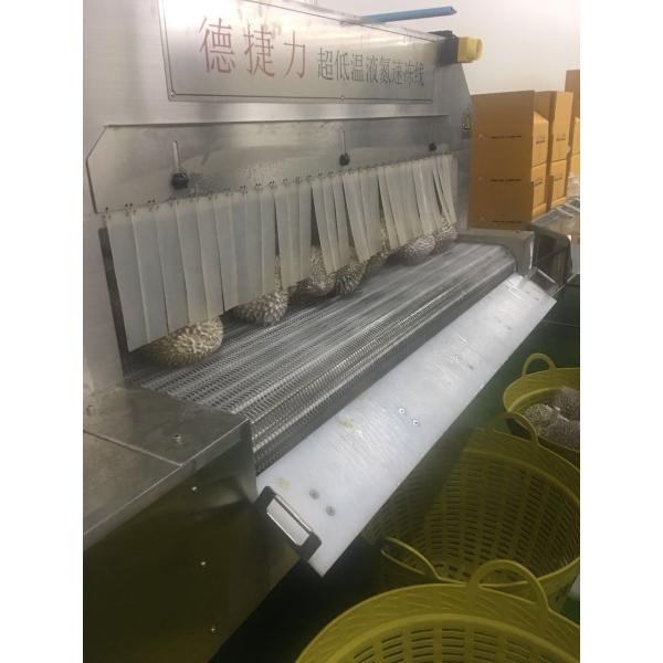 Quality Liquid Nitrogen Freezer Industrial Quick Freezer Freezing Machine For Chicken for sale